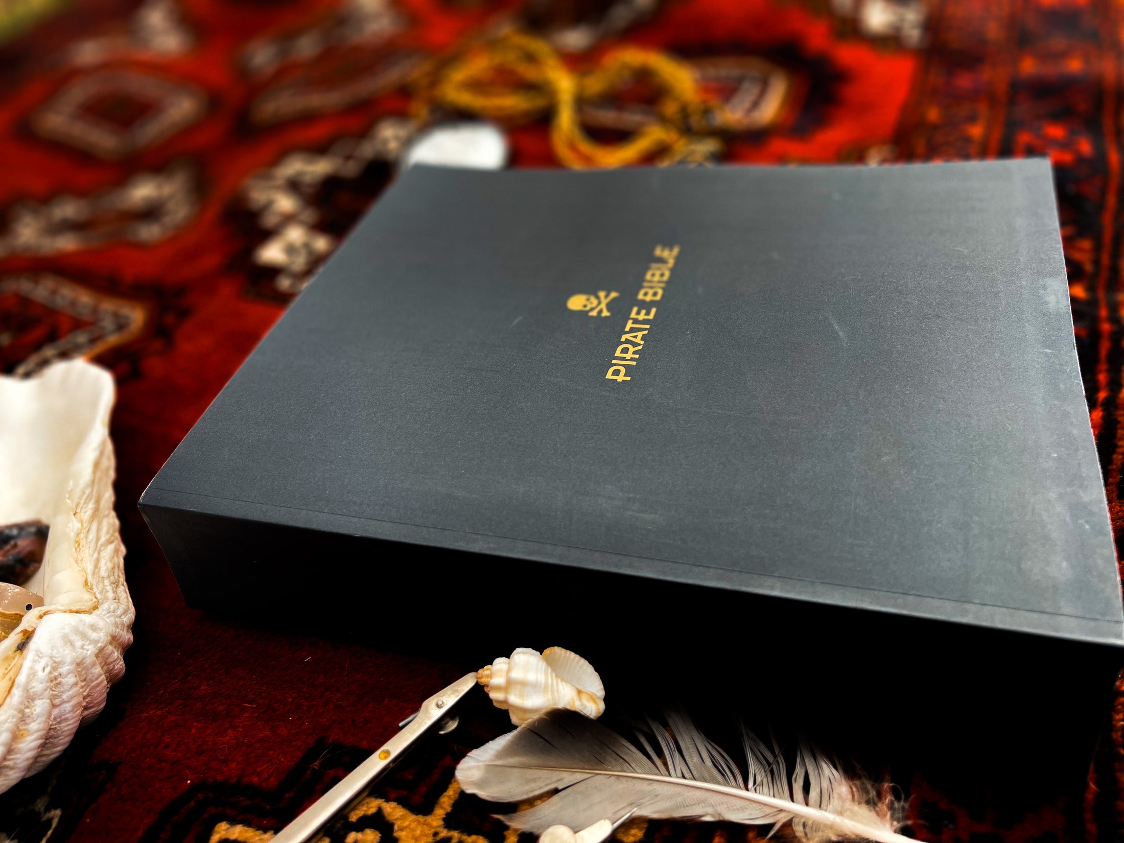 Pirate Bible: The Whole Bible in Pirate Speak